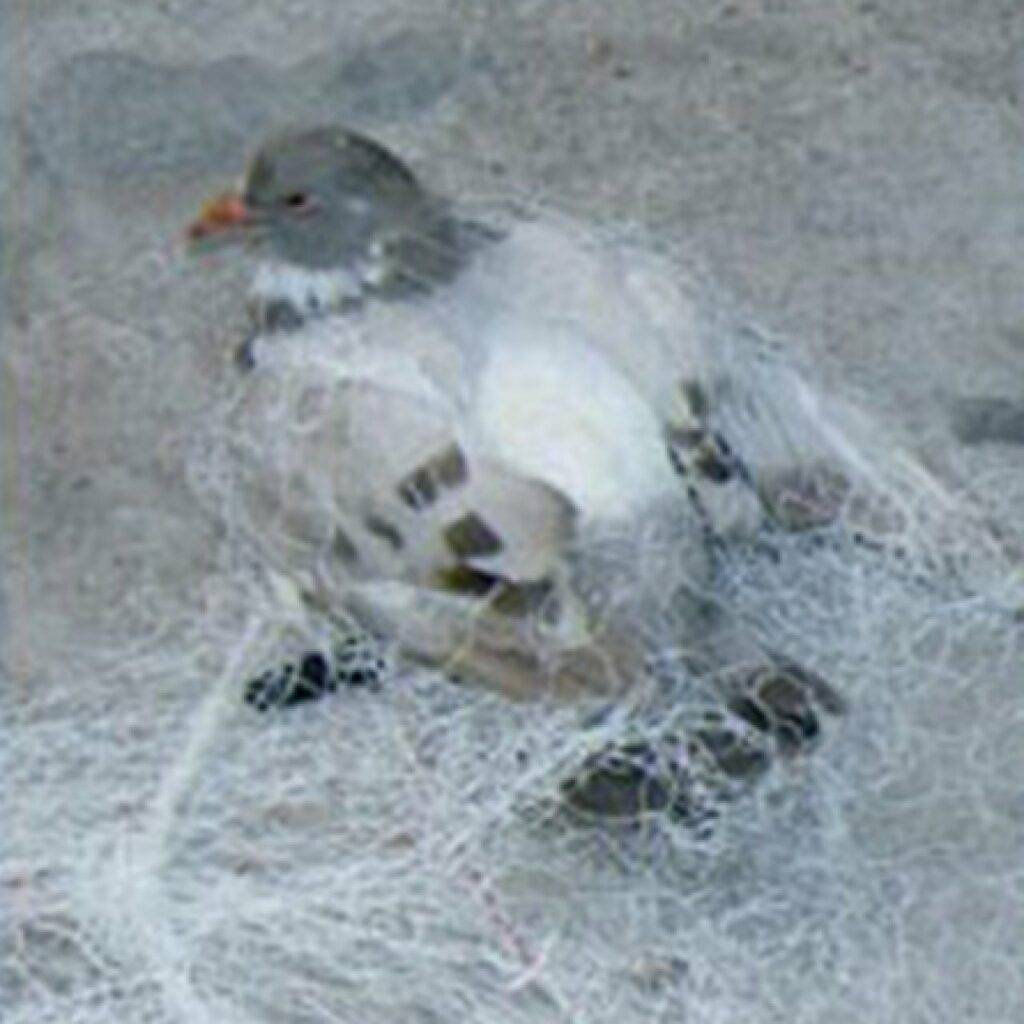 Wurfnetz Fangnetz Net Gun - Nicht tödliche Waffe zum verletzungsfreien ...