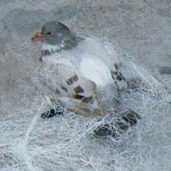 Wurfnetz Fangnetz Net Gun - Nicht tödliche Waffe zum verletzungsfreien ...